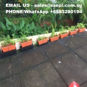 Backyard Garden Irrigation System Design Build Contractor In Singapore